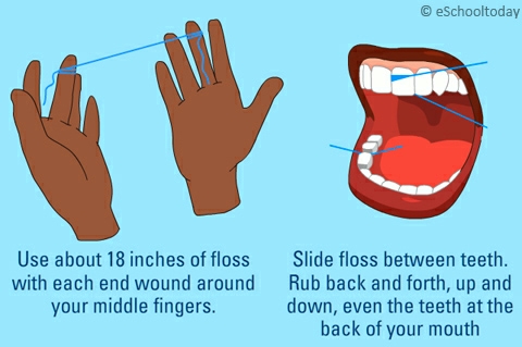 Dental O-SHEE-N best Dental Health blogs: FLOSSING YOUR "32"