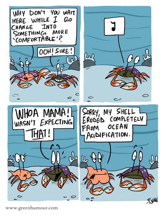Green Humour: Ocean Acidification and the Dungeness Crab