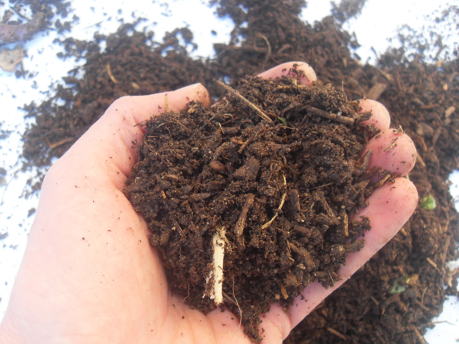 The Scientific Gardener: Composting with Grubs