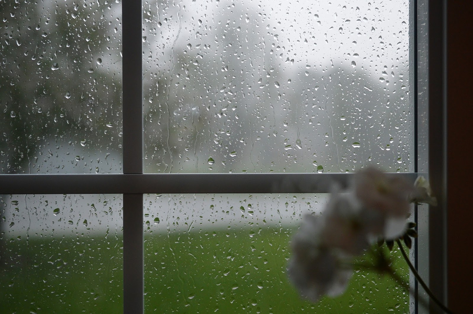 My Five Men: Spring Shower