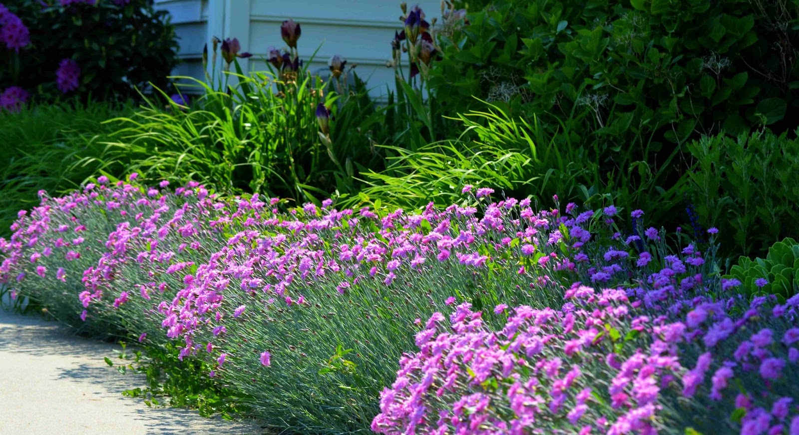 BarnBugStudio: NATURE