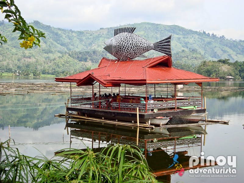 WHERE TO EAT IN LAKE SEBU: "Tilapia Overload" at Punta Isla Lake Resort ...