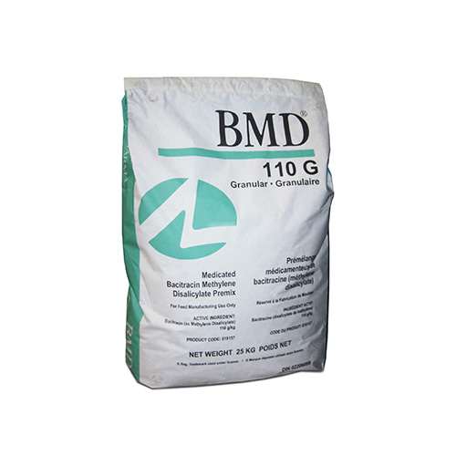 BMD 10% giúp heo tăng trọng nhanh cải thiện khả năng chuyển hóa thức ăn ...