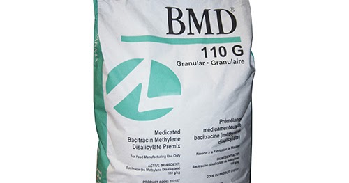 BMD 10% giúp heo tăng trọng nhanh cải thiện khả năng chuyển hóa thức ăn ...