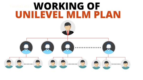 How does the Unilevel MLM plan works? – MLM software company Malaysia