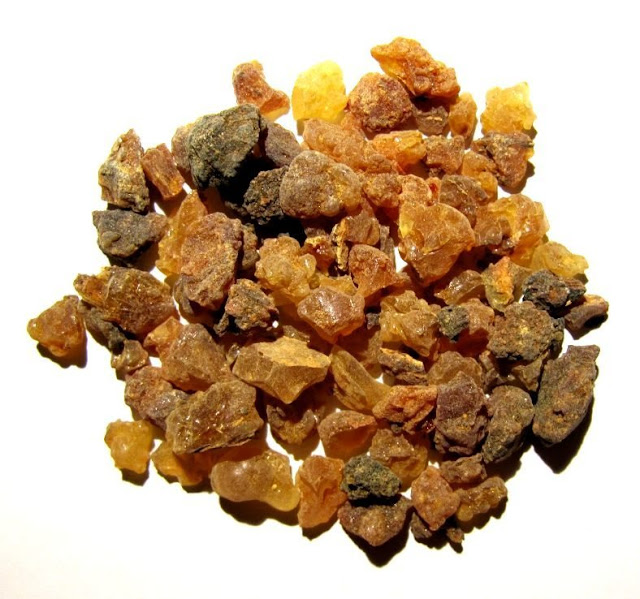 Myrrh, the key ingredient in ancient Egypt’s prized perfume