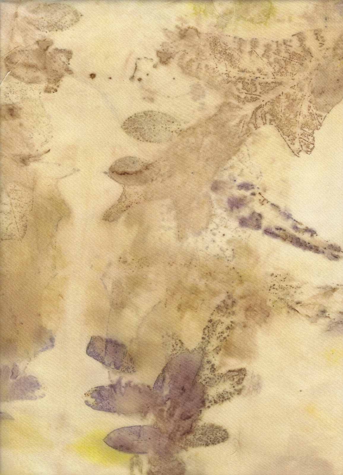 8 that create: Nature's Colors