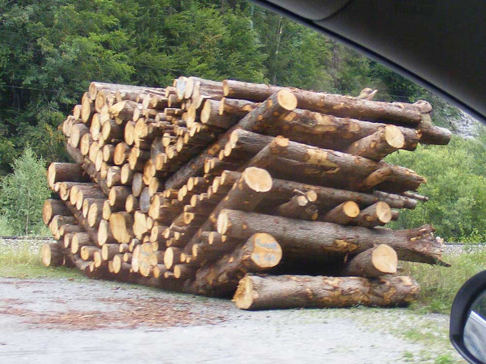 Days on the Claise: A Swiss Wood Heap