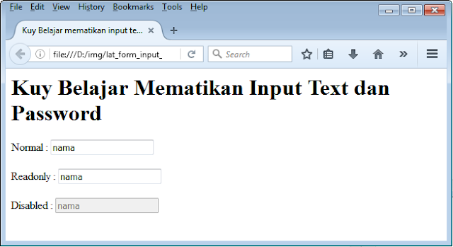 Fungsi Tag Input Type Text dan Type Password beserta Cara Penggunaannya