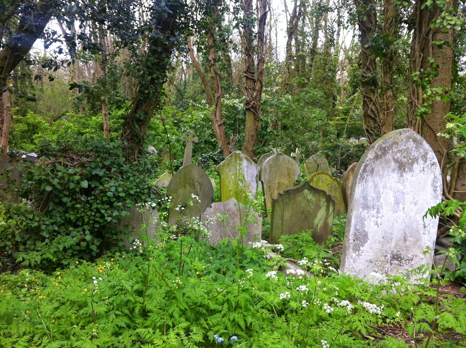 Exploring the Highgate Cemetery and Village | A Little Further North