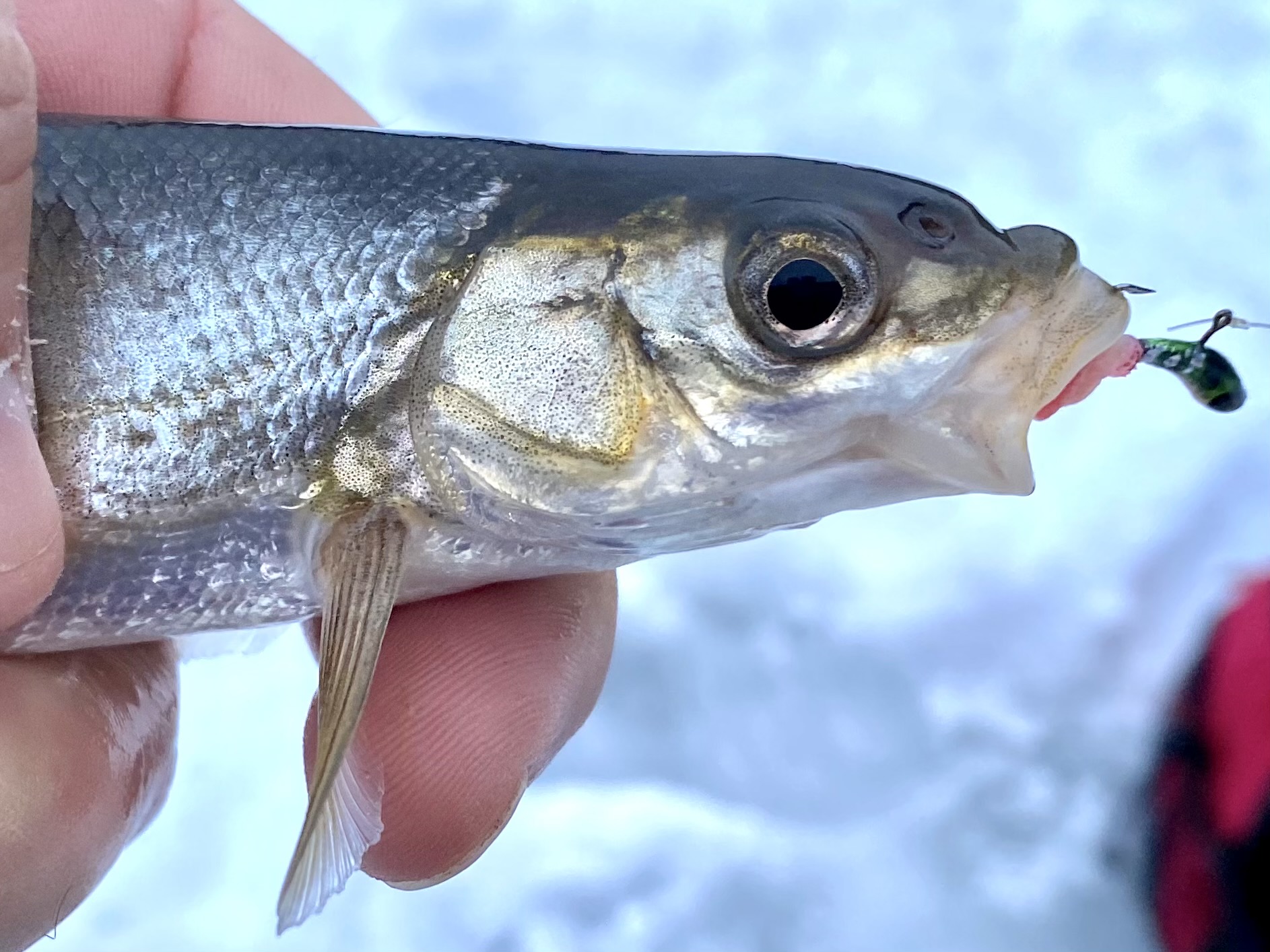 Bryanlikestofish: My Natural Habitat