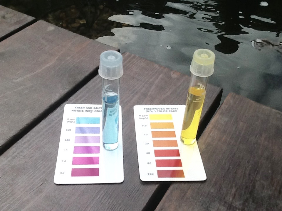 Anoxic Filtration System: Yep The Anoxic Filtration System Works…