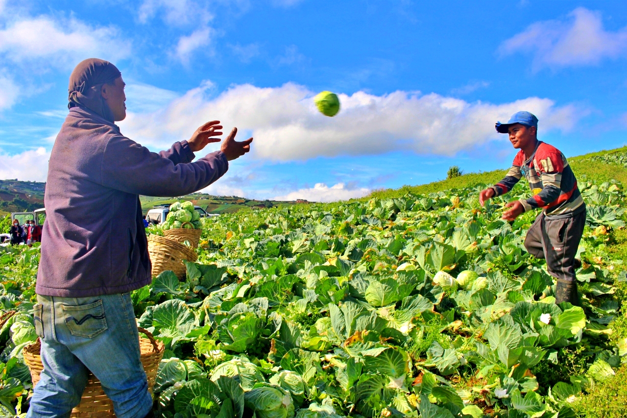 Why Help Our Local Farmers? - Nomadic Experiences