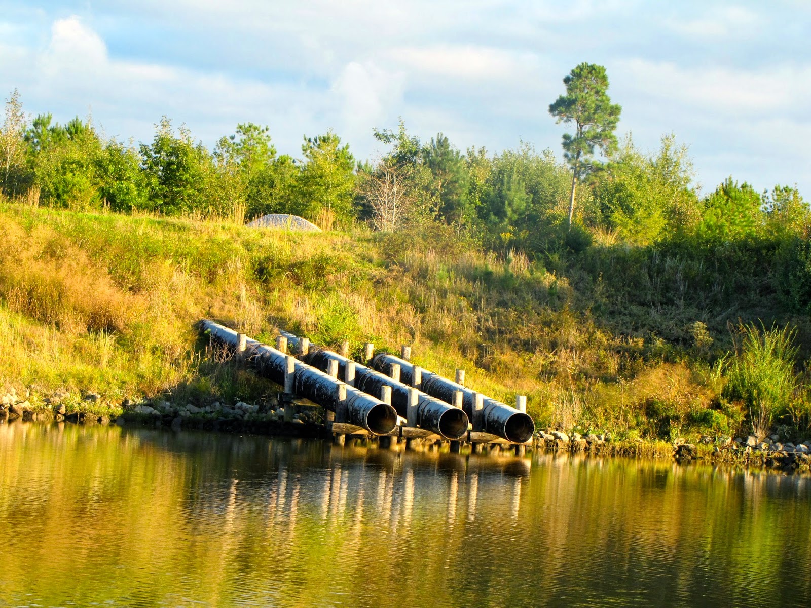 Pink 'N Blue View : Tennessee Tombigbee Waterway & Black Warrior Tombigbee
