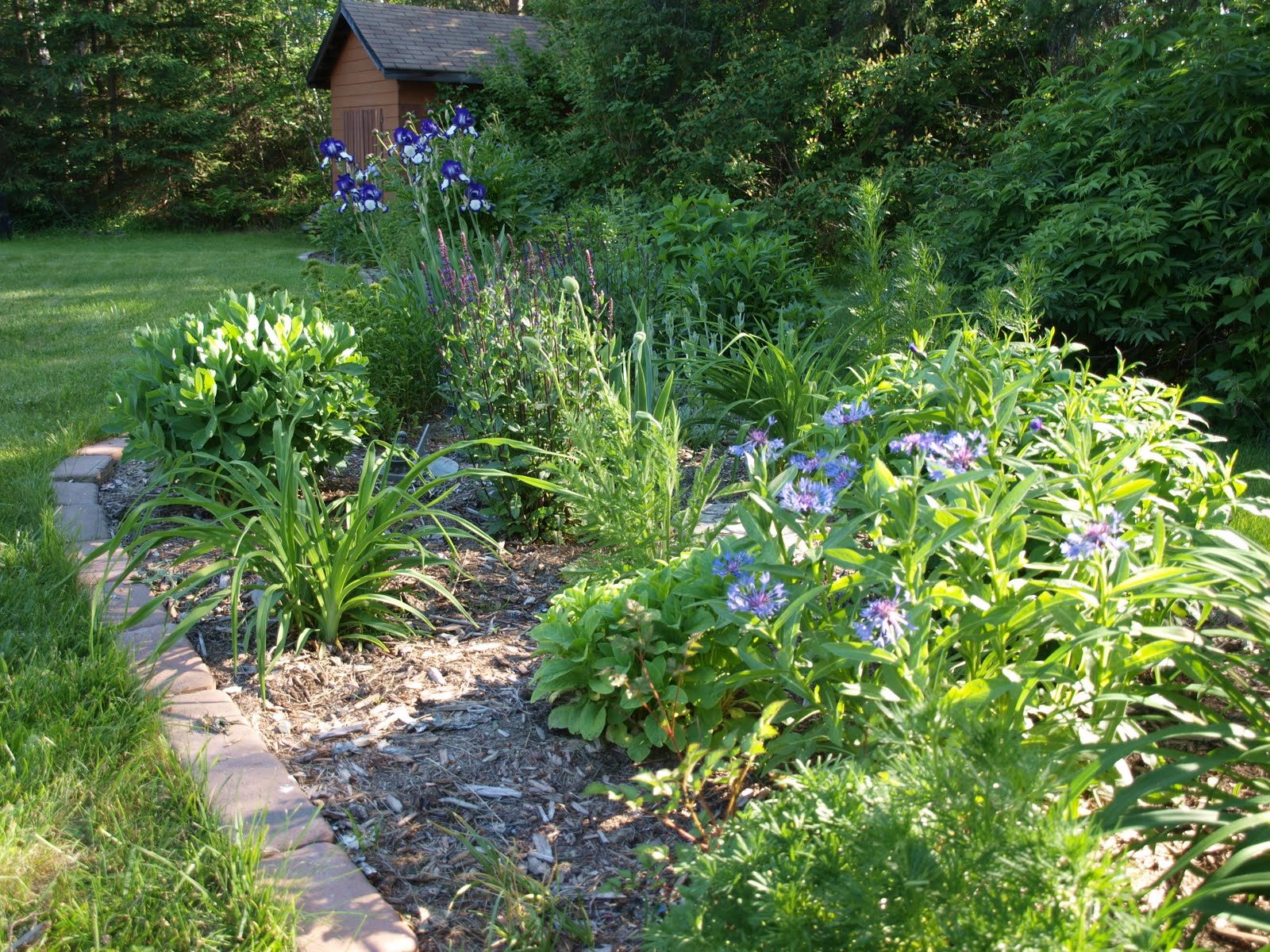 My Cottage Garden: Format, Font and Flora!