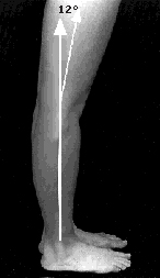 EL RINCÓN DE LA MEDICINA INTERNA. juanpedromacaluso@yahoo.com.ar ...