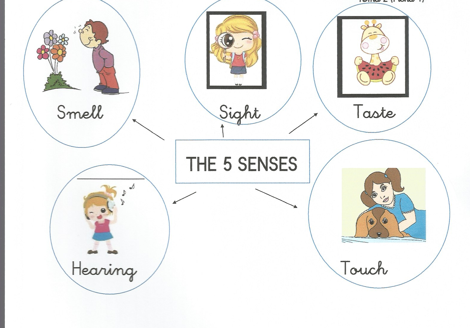 ¡Ya estamos en primaria!: The 5 senses ( los cinco sentidos) Ficha 1