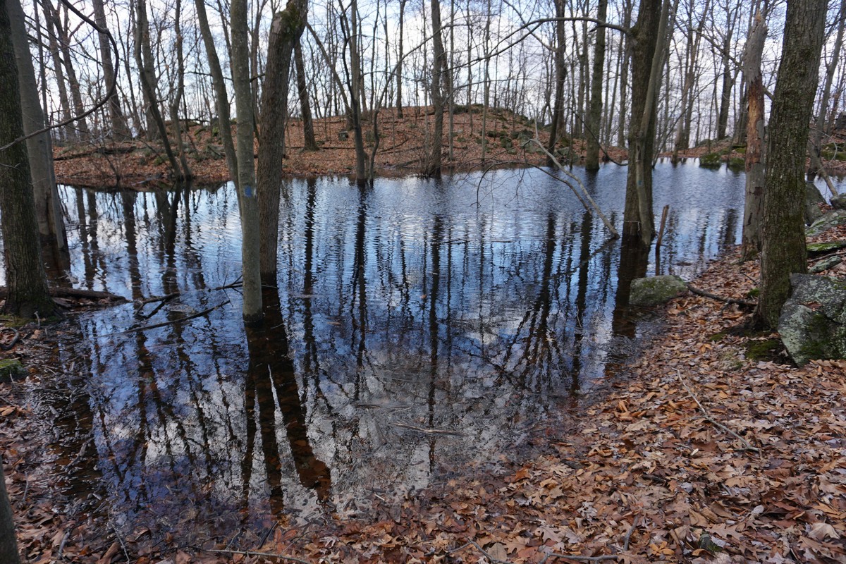 Harriman Hiker: Harriman State Park and Beyond: Blue Mountain ...