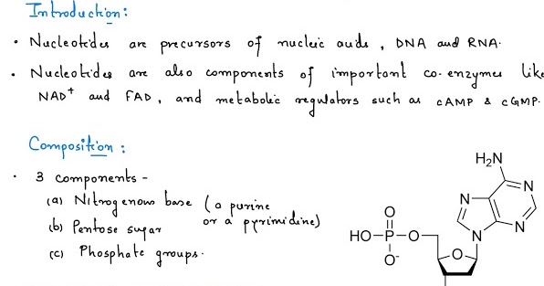 MedNotes: Biochemistry