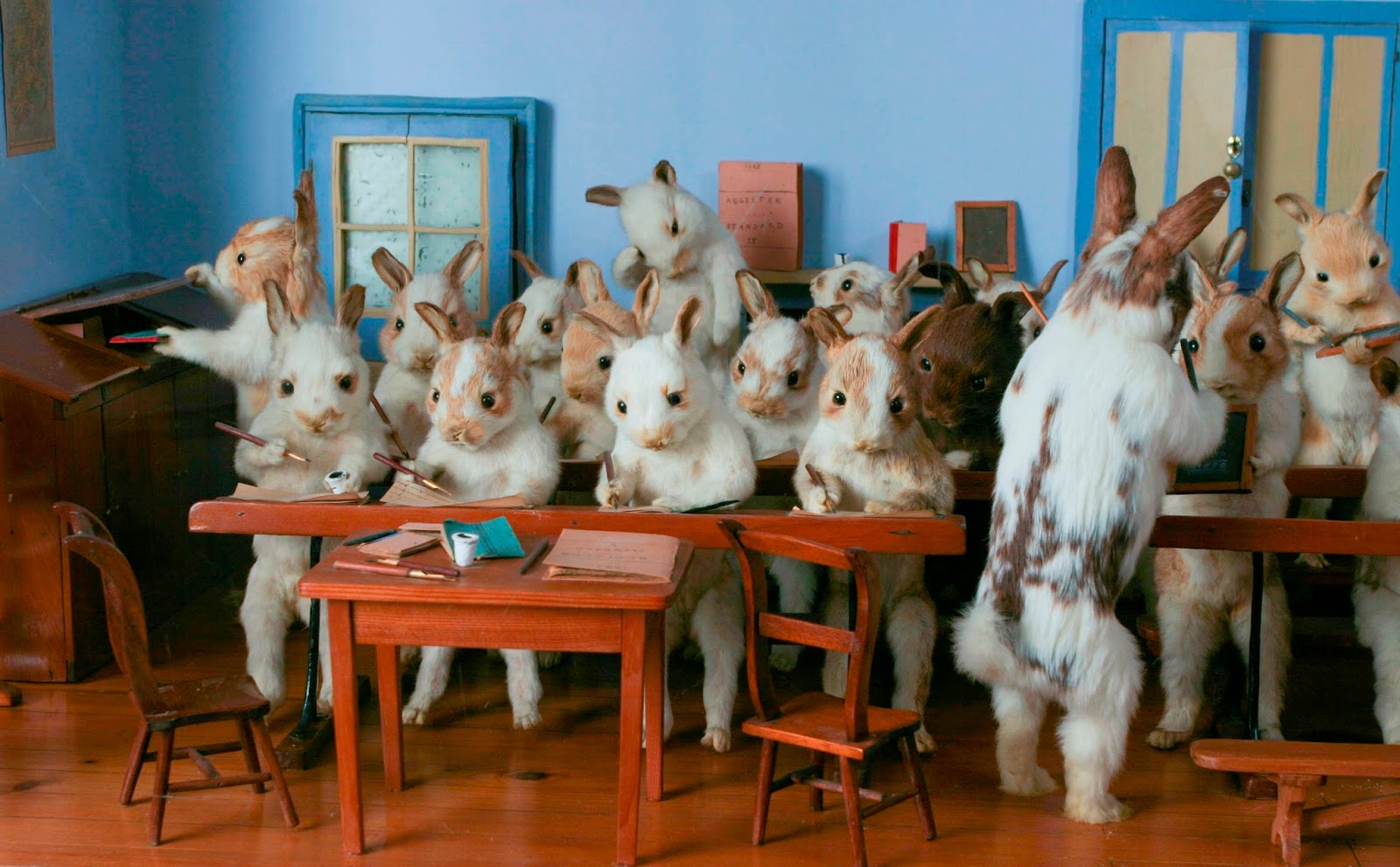 Twee Magazine: Twee Art: Walter Potter