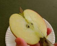 Mediterranean Baked Apple Dessert - Mademoiselle Mediterranean