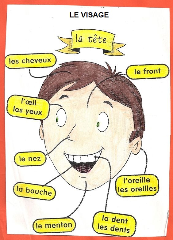 "LE COIN DE FRANÇAIS" Carmelitas Cartagena: Les parties du visage