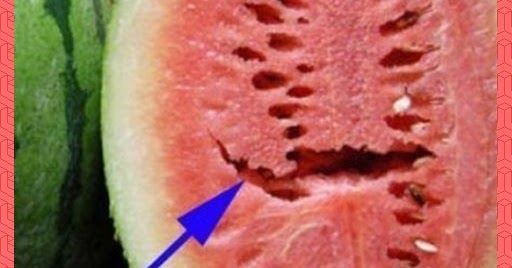 Do you love watermelons?? if you see this split inside watermelon throw it right away!! here's ...