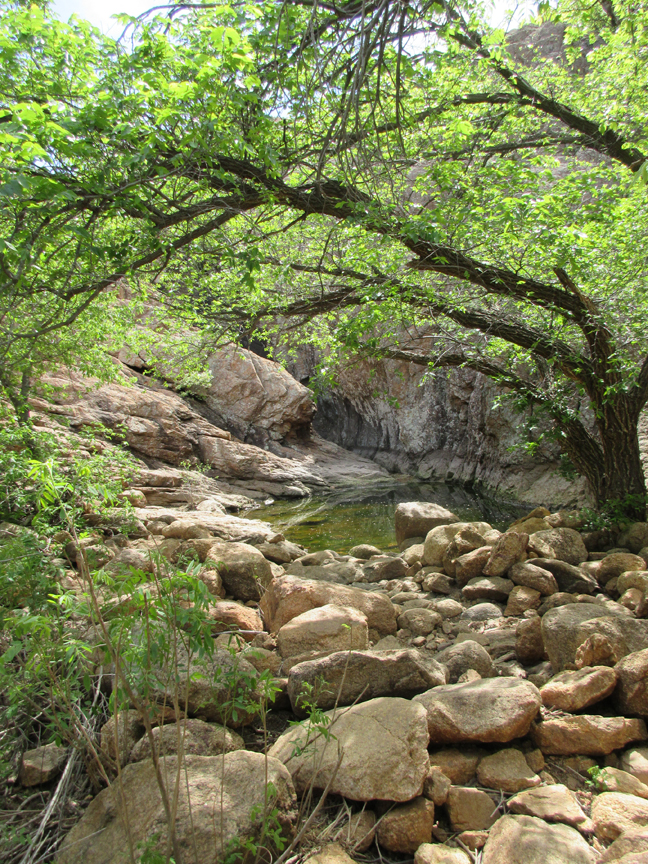 Sketching in Nature: A Day in the Wichita Mountains - Laura Gillis