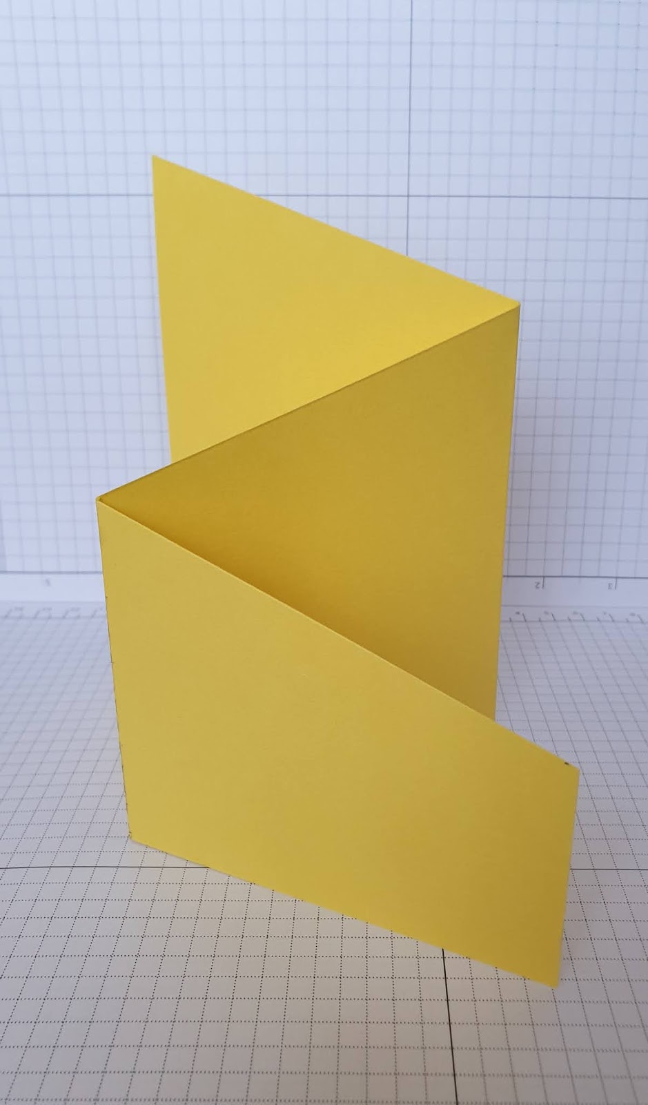 2biggirlscrafting: Fun Fold Friday...