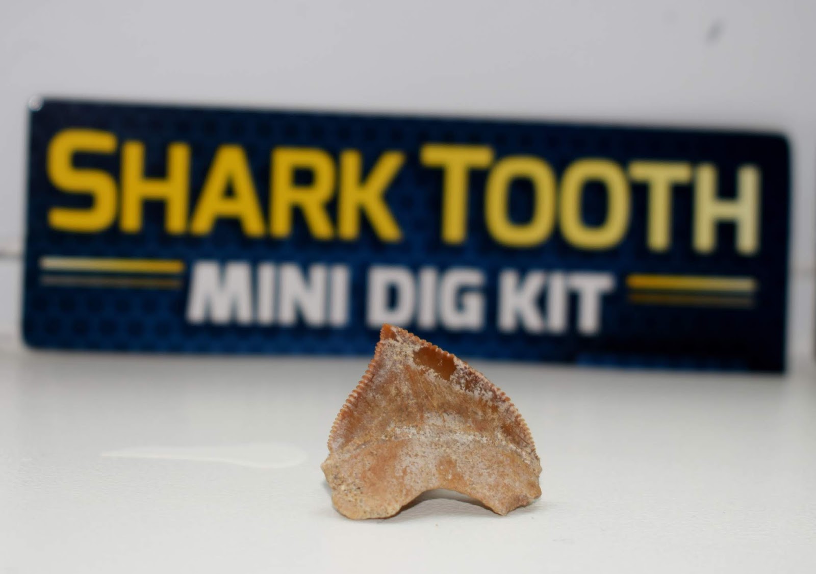 Tantrums To Smiles: National Geographic - Mini Dig Kits **REVIEW**