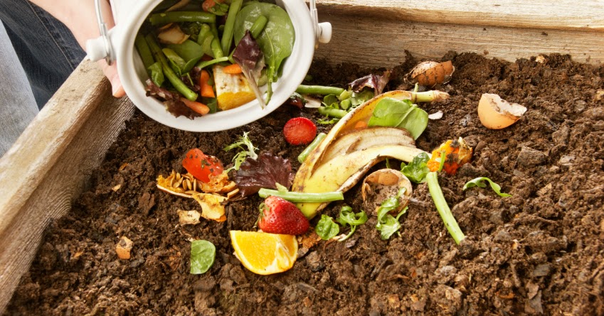 Waste management : How Does The Composting Process Work?