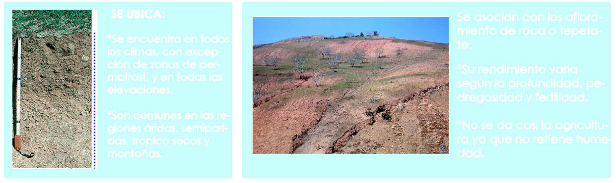 Tarea tipos de suelo