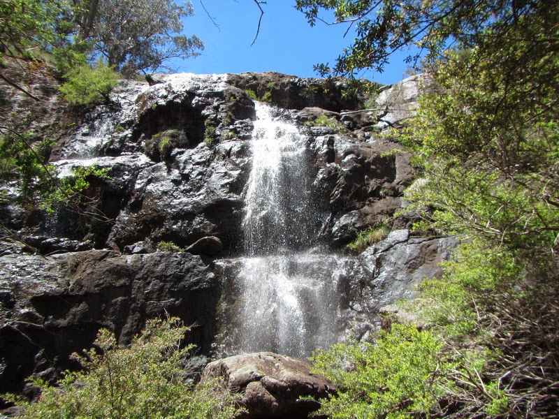 Dzung Nguyen's Blog: Mt Cobbler Walk