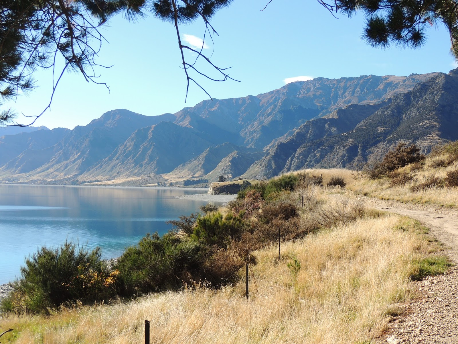 THE ROAD TAKEN : Hiking Lake Hawea