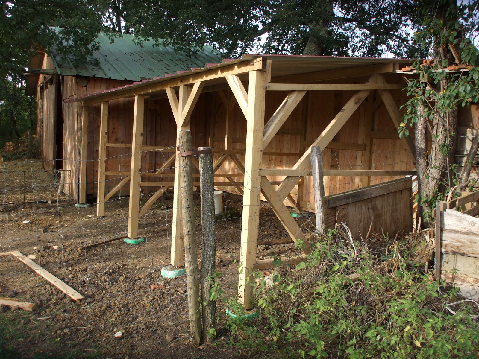 in search of the kiwi: donkey stables