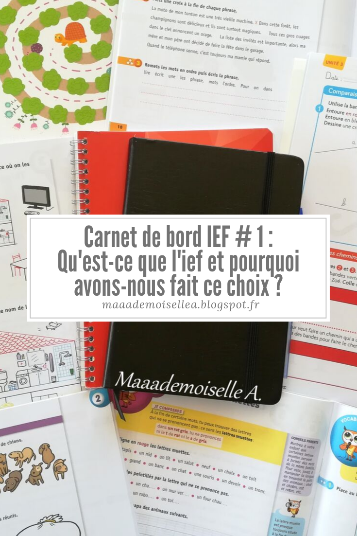 Maaademoiselle A.: || Carnet de bord IEF # 1 : Qu'est-ce que l'IEF et ...