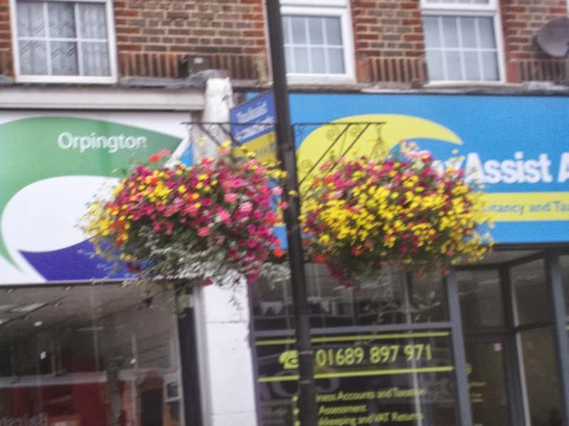 London buses one bus at a time: the return: The R11 Route