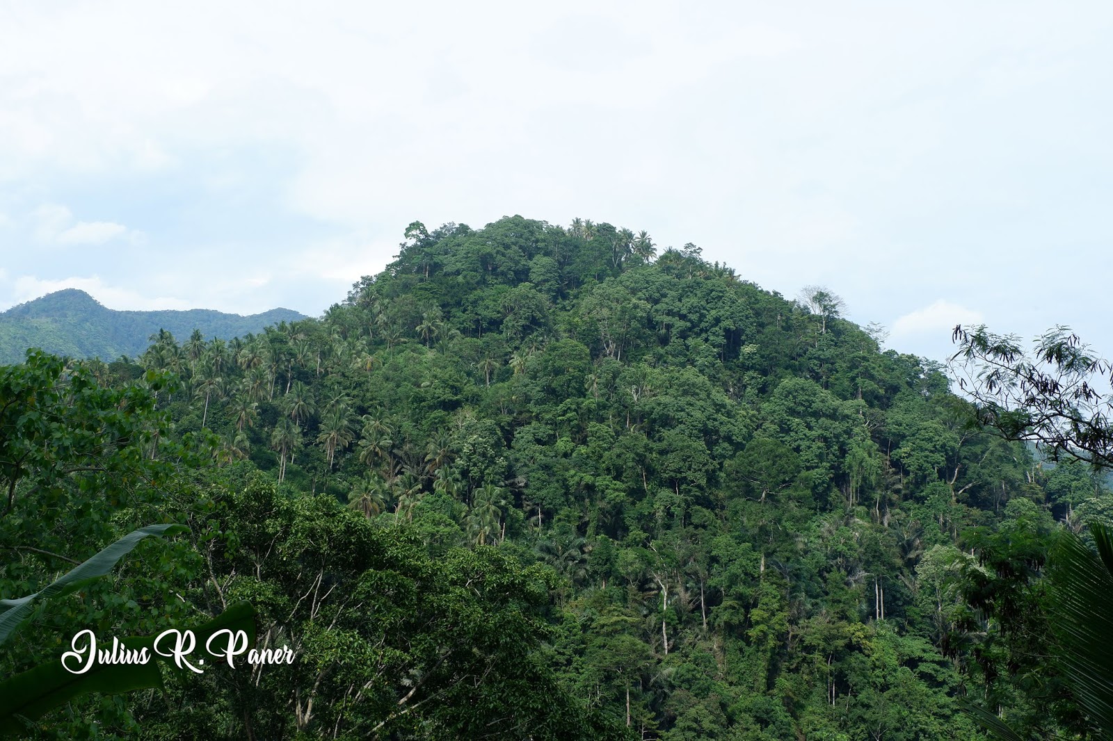 LOGSAC: SINORON: The Water World of Sta. Cruz