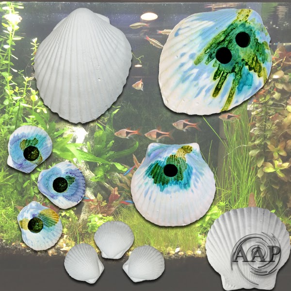 Grants Pass Oregon Aquarium & Pond: Wonder Shell Aquarium Mineral Block