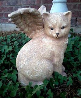 ShukerNature: CATS WITH WINGS? EXTRAORDINARY THINGS!