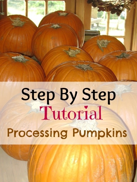 TSG: Step By Step Tutorial For Processing Pumpkins