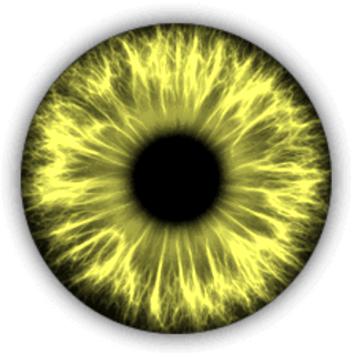 EYES TRANSPARENT PNG HD FOR EDITING | FREE DOWNLOAD