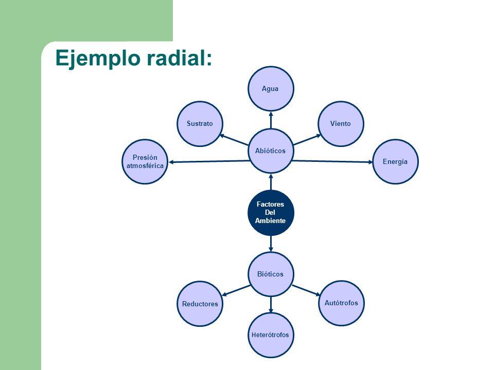 videoblogmarco: diagrama radial