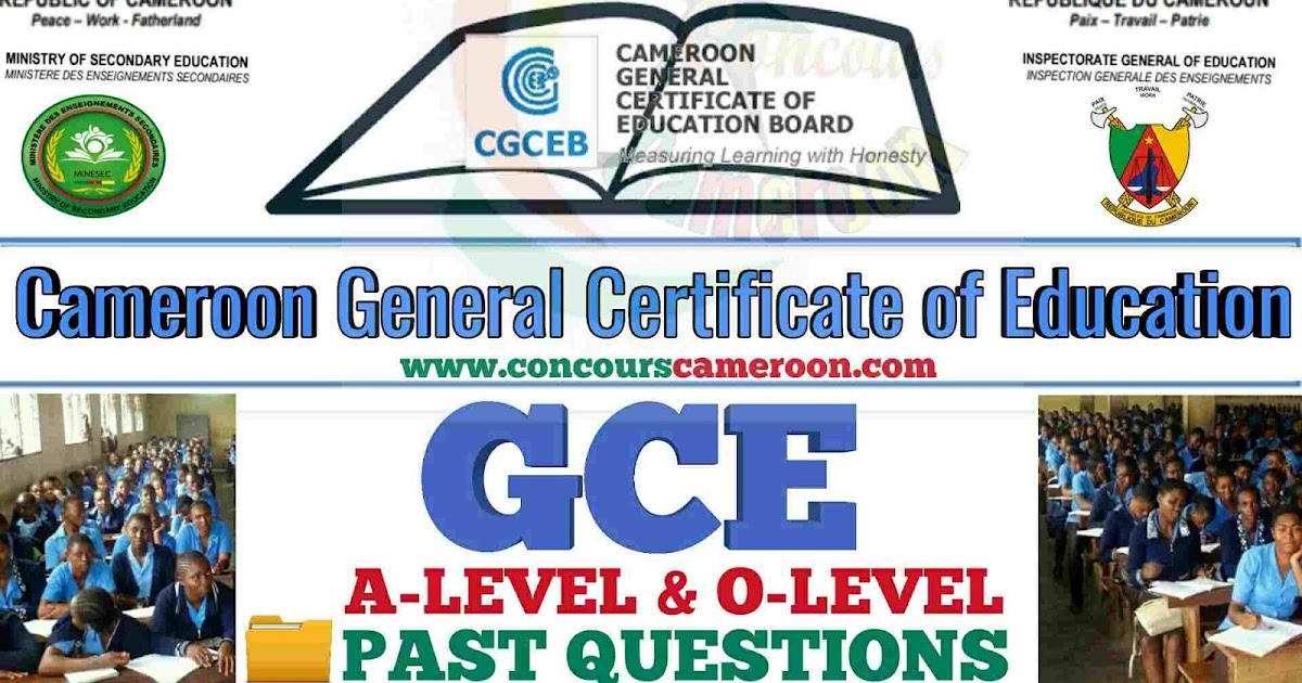 Commerce GCE Ordinary Level Paper 1 June 2014 Past Questions free ...