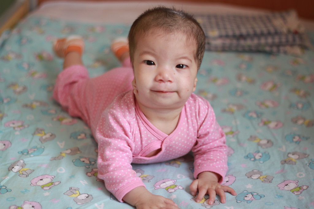 Little Flower Projects: 2018