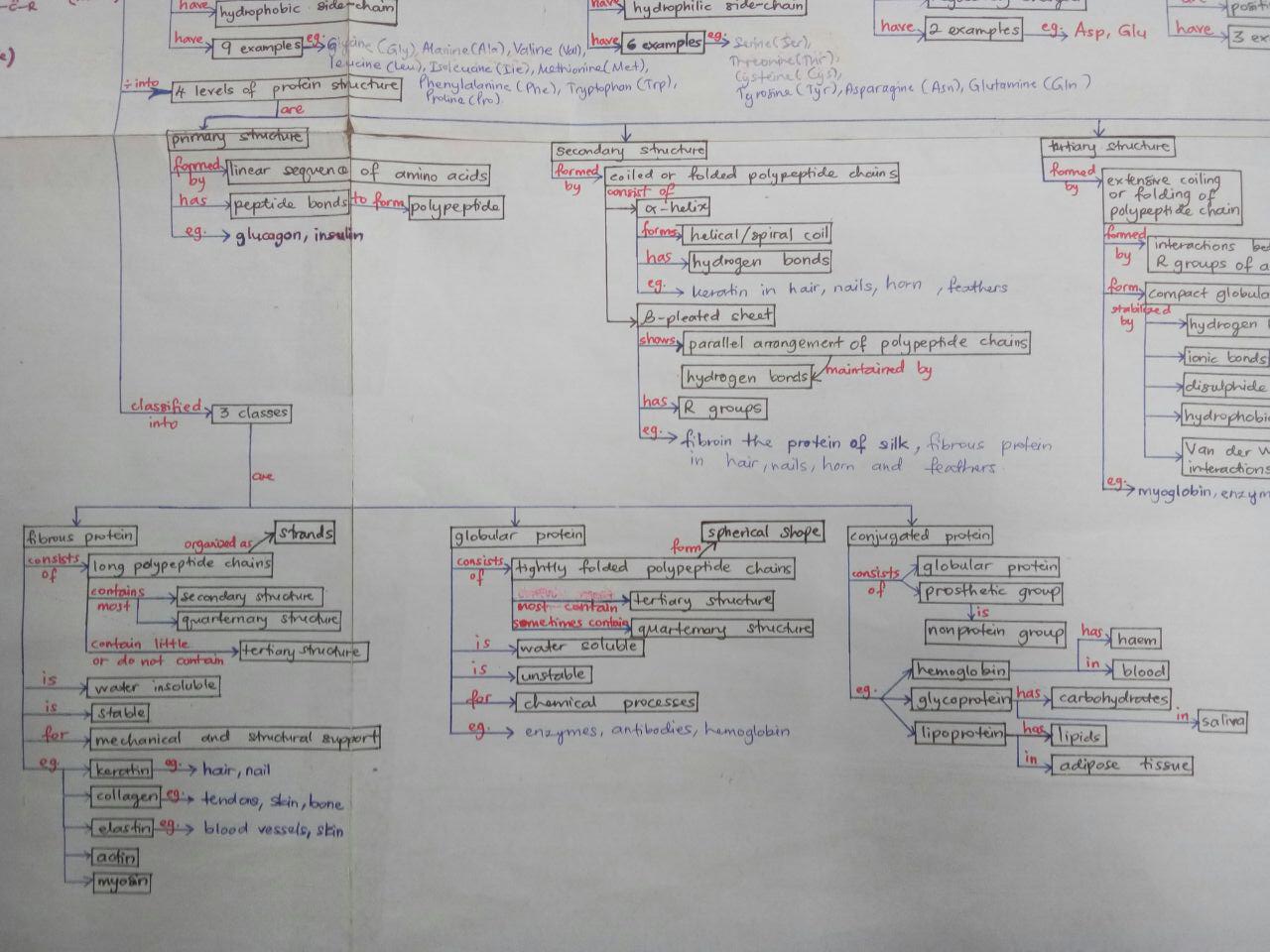 BIOLOGY is to serve mankind...: 1.1 MOLECULES OF LIFE