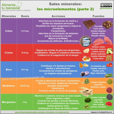 ELEMENTOS QUÍMICOS, MACROELEMENTOS Y MICROELEMENTOS ESENCIALES EN LA ...
