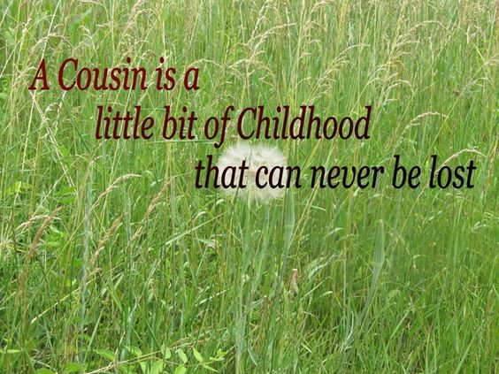 64 Best Cousin Quotes and Sayings with Images
