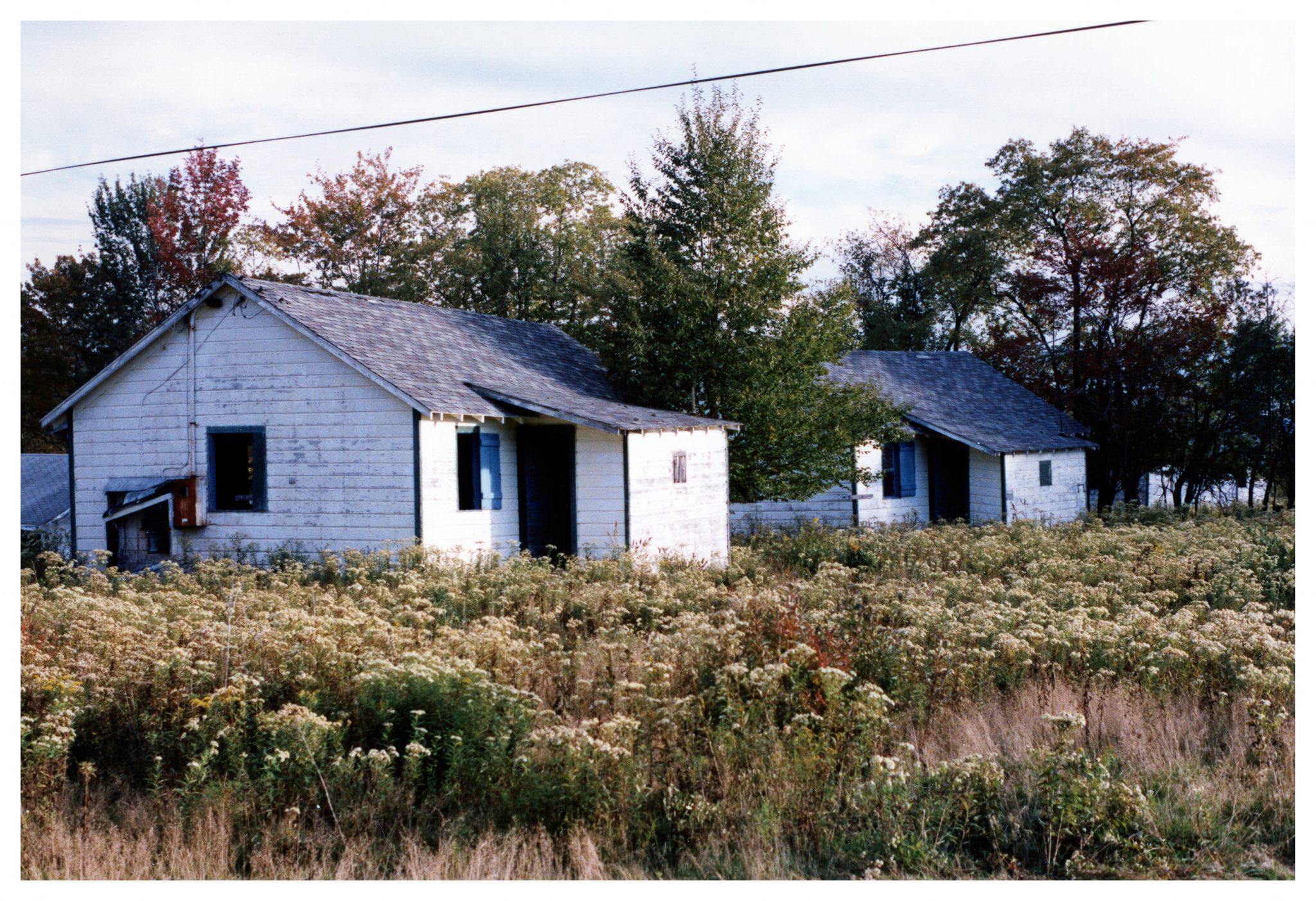 Betarim In North America