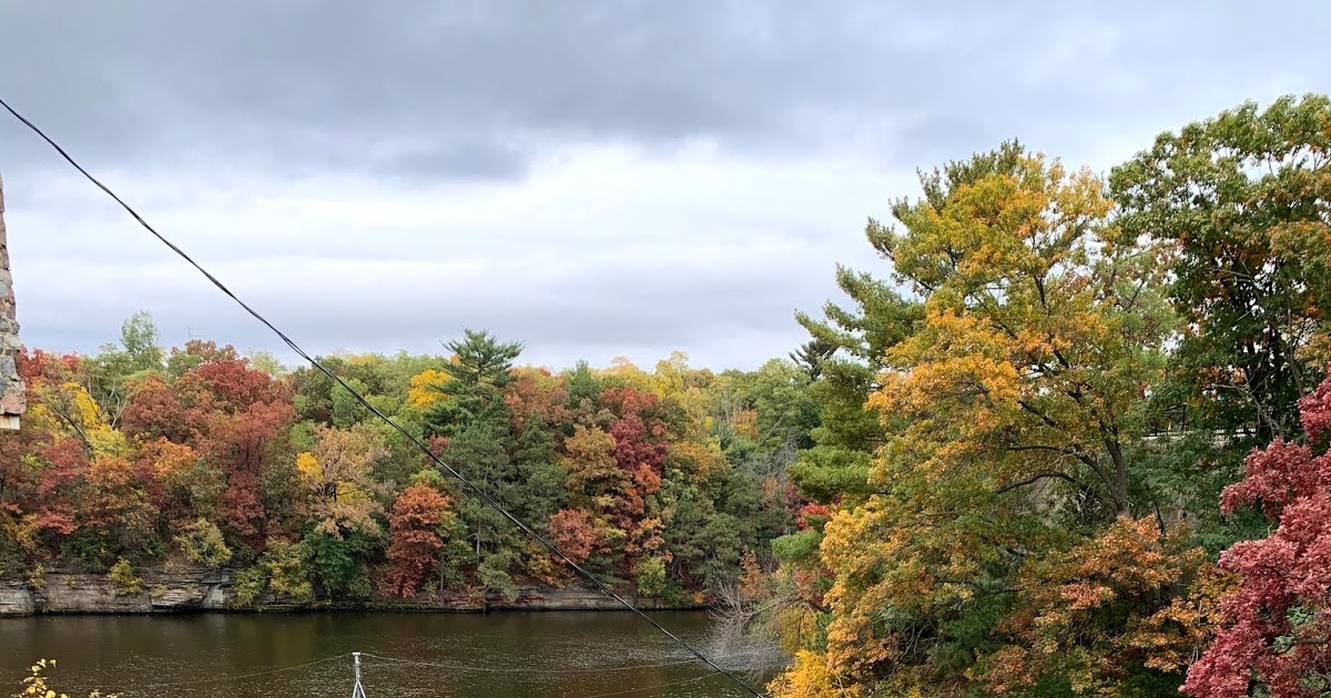 Amy's Creative Pursuits: A Fall Ride On The Upper Dells Boat Tour